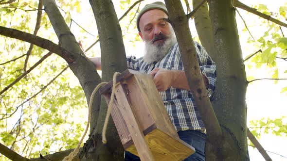 Elderly Man Climbing on Tree with Birdhouse, Stock Footage | VideoHive