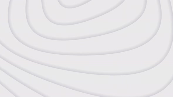 White Background, Motion Graphics | VideoHive