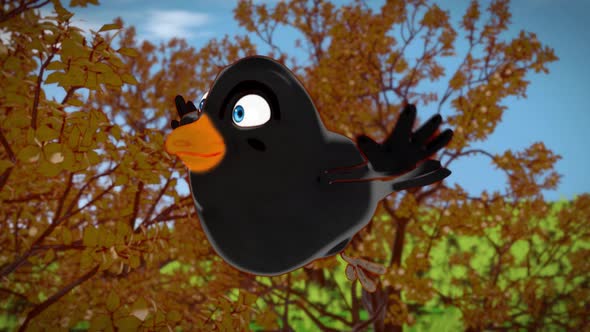 4K animation of a fun cartoon black bird,, Motion Graphics | VideoHive