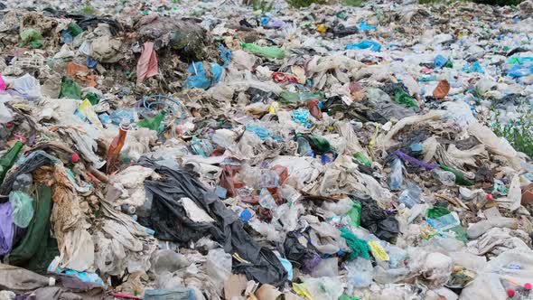 Contaminated Forests with Plastic Debris, Stock Footage | VideoHive