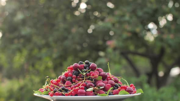 Rich Harvest of Fresh Berries on Nature Background, Stock Footage ...
