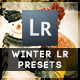 6 Winter Edition Pro Presets, Add-ons | GraphicRiver