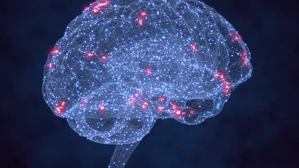 Flying Through The Brain, Motion Graphics | VideoHive