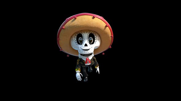 Mexican Skeleton Dancing, Motion Graphics | VideoHive