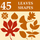 Leaves Custom Shapes, Add-ons | GraphicRiver