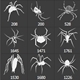 41 Photoshop Spiders & Web Brushes, Add-ons | GraphicRiver