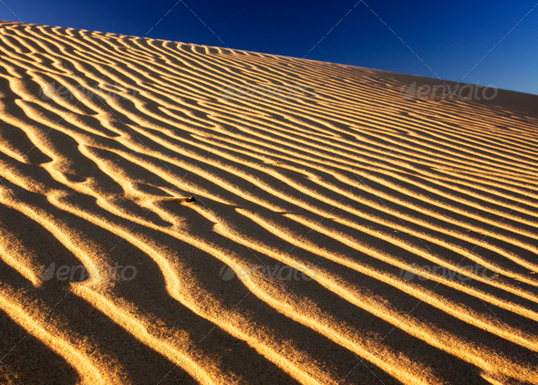 dunes Stock Photo by pelooyen | PhotoDune