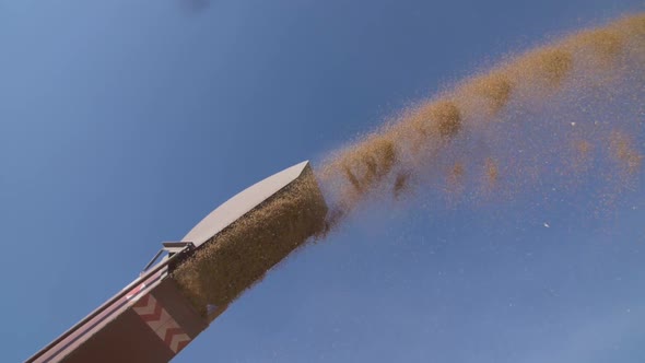 Grain Transfer Machine, Stock Footage | VideoHive