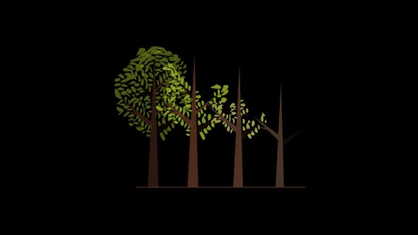 Dying Tree Sequence, Motion Graphics | VideoHive