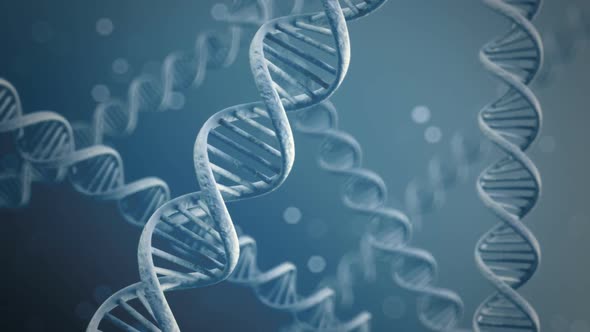 Seamless looping animation of rotating DNA strands in a microscopic ...