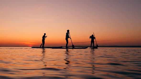 Stand-up Paddleboarding of a Group of Friends, Stock Footage | VideoHive