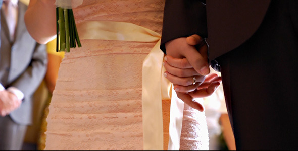 Bride and Groom Hands Shaking Close Up, Stock Footage | VideoHive