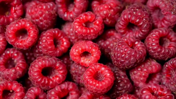 Close Up Rotation Loopable Raspberry, Stock Footage | VideoHive