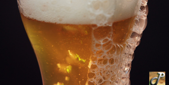 Fresh Beer, Stock Footage | VideoHive