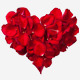 Red Rose Petals Heart Photo-realistic, Isolated Objects | GraphicRiver