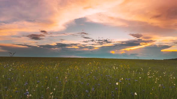 Hyperlapse Pan Slider Shot Sunset Cloudy Sky With Fluffy Clouds, Stock ...