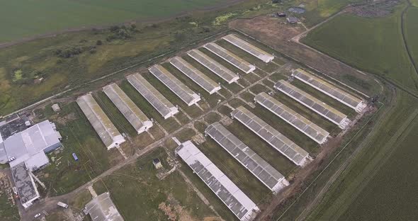 Aerial View of Poultry Farm Among Field, Stock Footage | VideoHive
