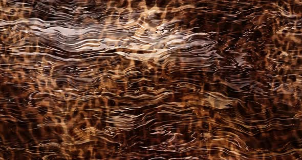 abstract animal skin background animation, Motion Graphics | VideoHive