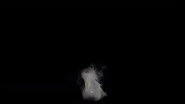 Smoke Loop by ninjapoy | VideoHive