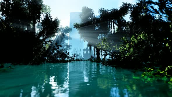 Big City In The Jungle, Motion Graphics | VideoHive