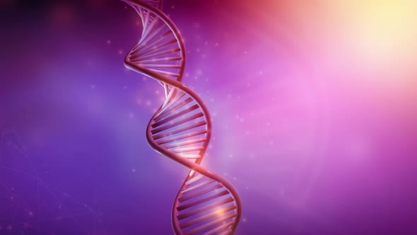 Colorful Animation Of DNA Rotation HD, Motion Graphics | VideoHive