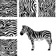Zebra and Texture of Zebra, Vectors | GraphicRiver