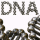 DNA Alphabet, Graphics | GraphicRiver