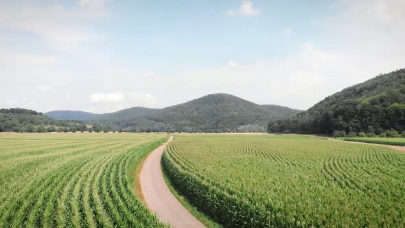 Flight over long open road crossing deserted green fields., Stock Footage
