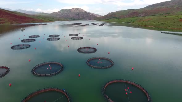 Pisciculture Fish Farming in Lake, Stock Footage | VideoHive