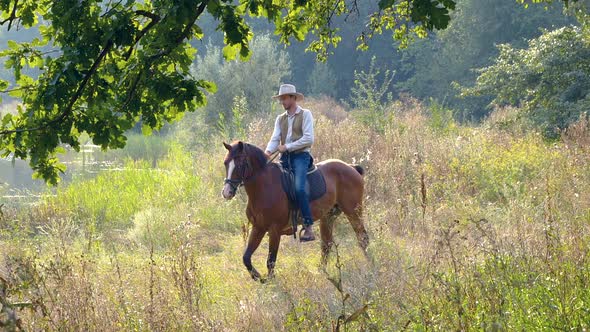 American Cowboy on Horseback on a Forest Lawn, Stock Footage | VideoHive