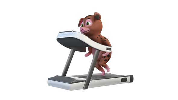 Brown Pig Running On A Treadmill on White Background, Motion Graphics