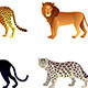 Big Cats Set, Vectors | GraphicRiver