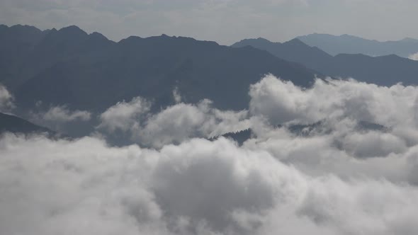 Fog and Clouds in The Woods, Stock Footage | VideoHive