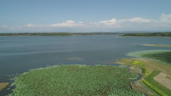 View of the Paoay Lake, Philippines., Stock Footage | VideoHive