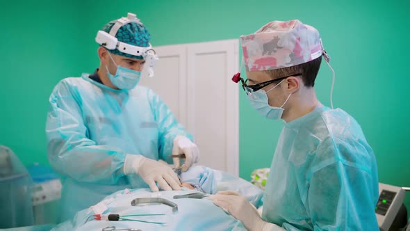Professional doctors during operation, Stock Footage | VideoHive