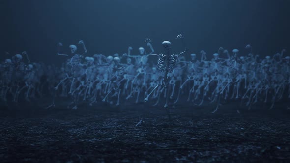Skeletons Dancing Together With Cinematic Camera Movements, Motion Graphics