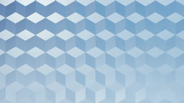 Digital generated video of various shape , Motion Graphics | VideoHive