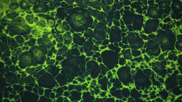 Green Plasma, Stock Footage | VideoHive