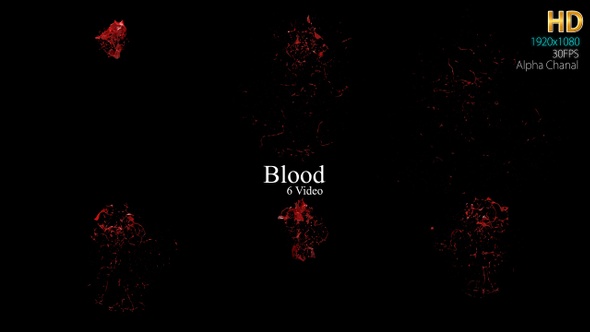 Blood, Motion Graphics | VideoHive
