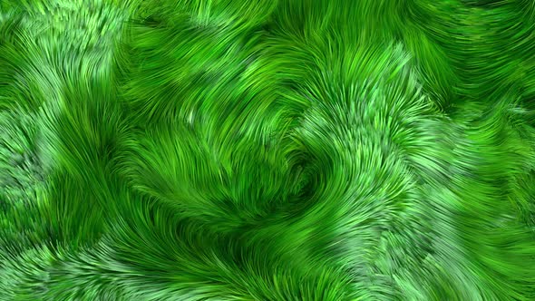 Waving Grass Top View 3D Background 4K, Motion Graphics | VideoHive