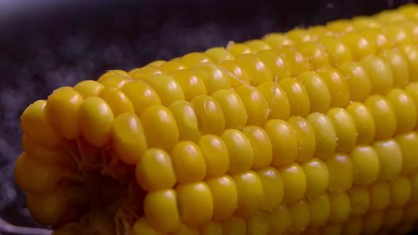 Cooked sweetcorn - homemade cooked corn, Stock Footage | VideoHive