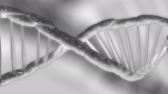 Close Up Grey Dna, Motion Graphics | VideoHive