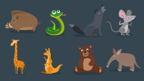 Cartoon Animals 6, Motion Graphics | VideoHive