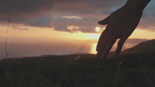 Hand In The Sun, Stock Footage | VideoHive