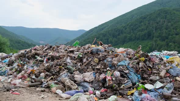 Contaminated Forests with Plastic Debris, Stock Footage | VideoHive