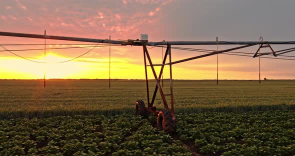Pivot irrigation system on agricultural farm field, Stock Footage ...