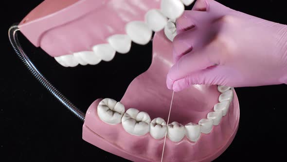 Teeth Cleaning Thread, Stock Footage | VideoHive