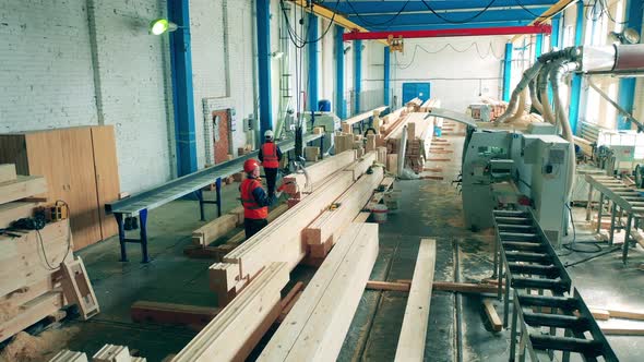 Engineers Are Transporting Wood in the Woodworking Factory, Stock Footage