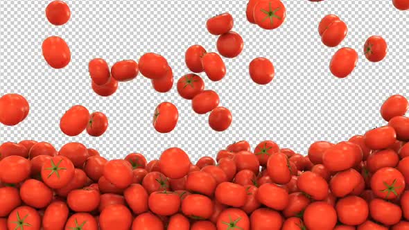 Tomato Overlay Transition, Motion Graphics | VideoHive