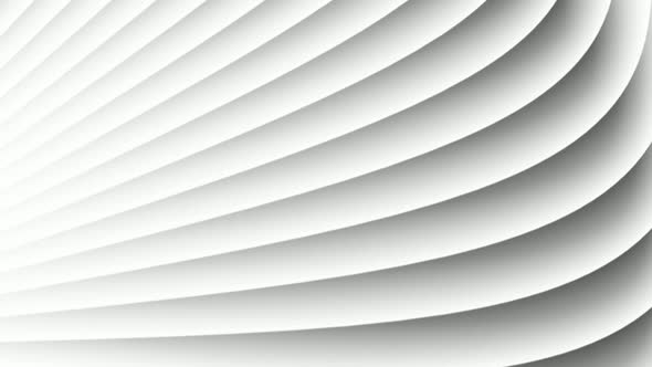 White Background, Motion Graphics | VideoHive